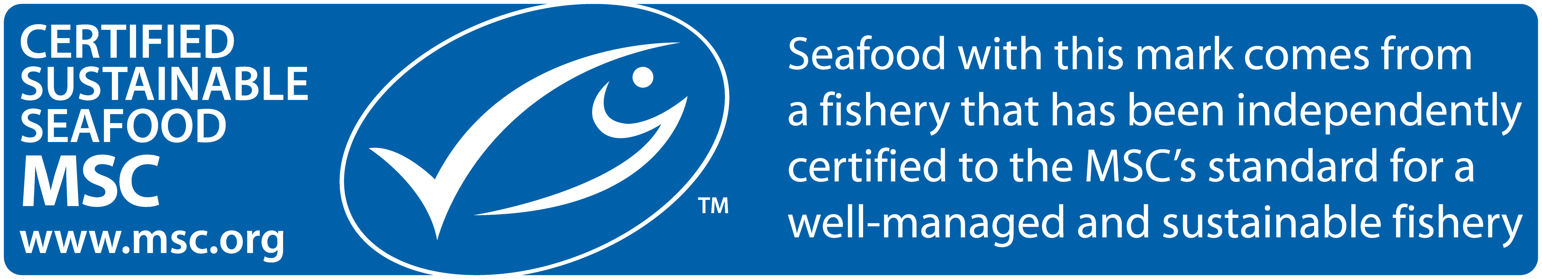 Meet Our Fish | Fish & Co