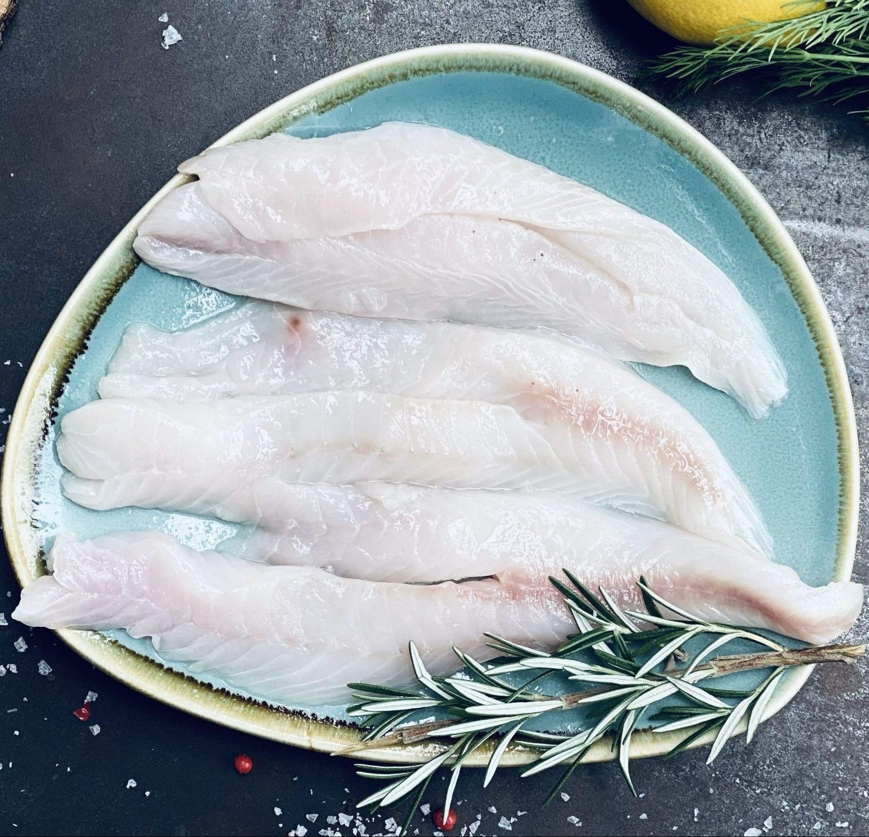 Fresh Wild Caught Gurnard | Fish & Co