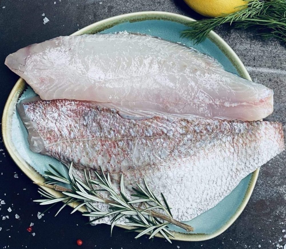 Fresh Wild Caught NZ Snapper Fillets | Fish & Co